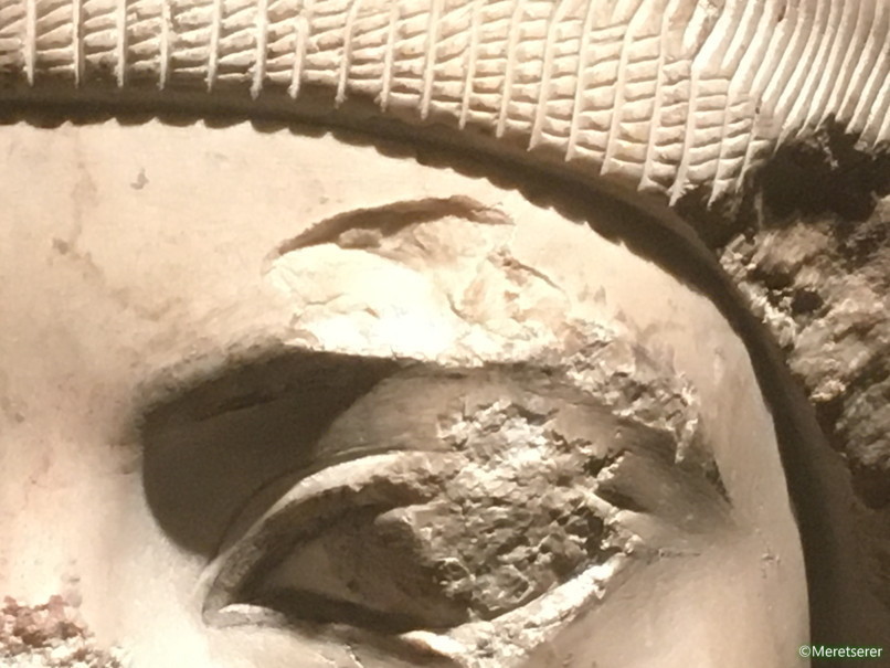 ナクトミンの頭部像 Head of Nakhtmin: 博物館展示品カタログ